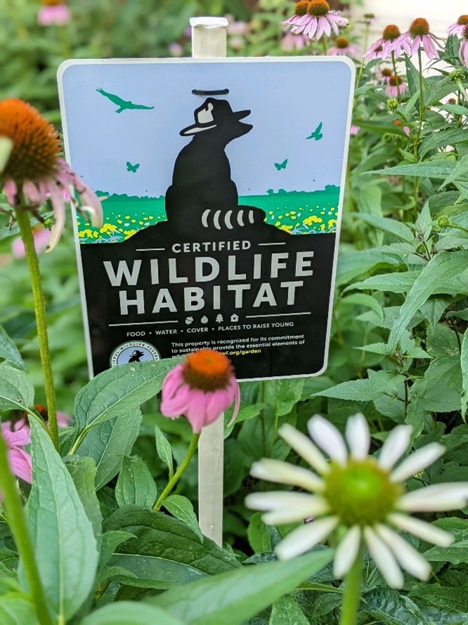 Give To Your Gardens and Certify Them To Help Water And Wildlife In ...